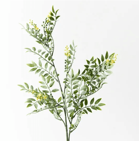 Wattle Leaf Spray – Esperance Luxe Floral & Home Co.